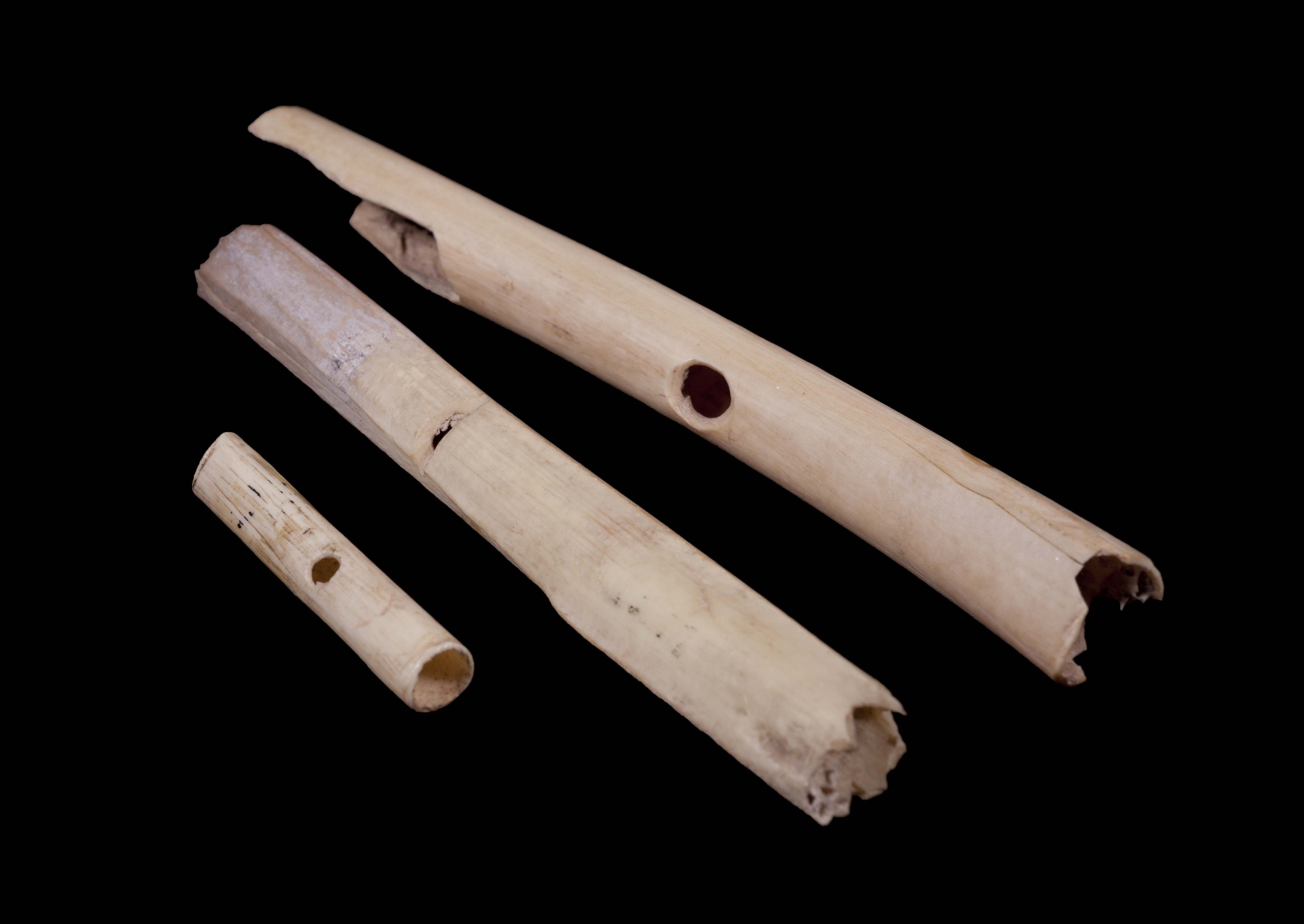 Bird bone whistles | American Southwest Virtual Museum