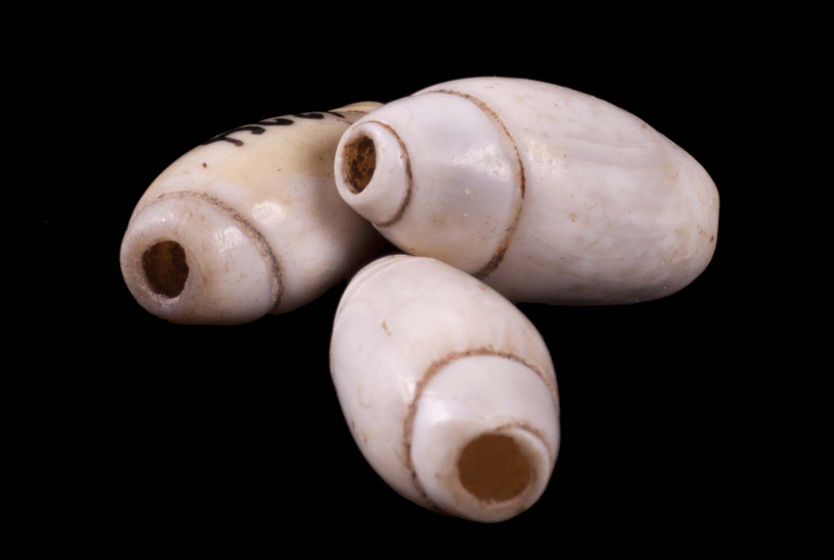 Shell | American Southwest Virtual Museum