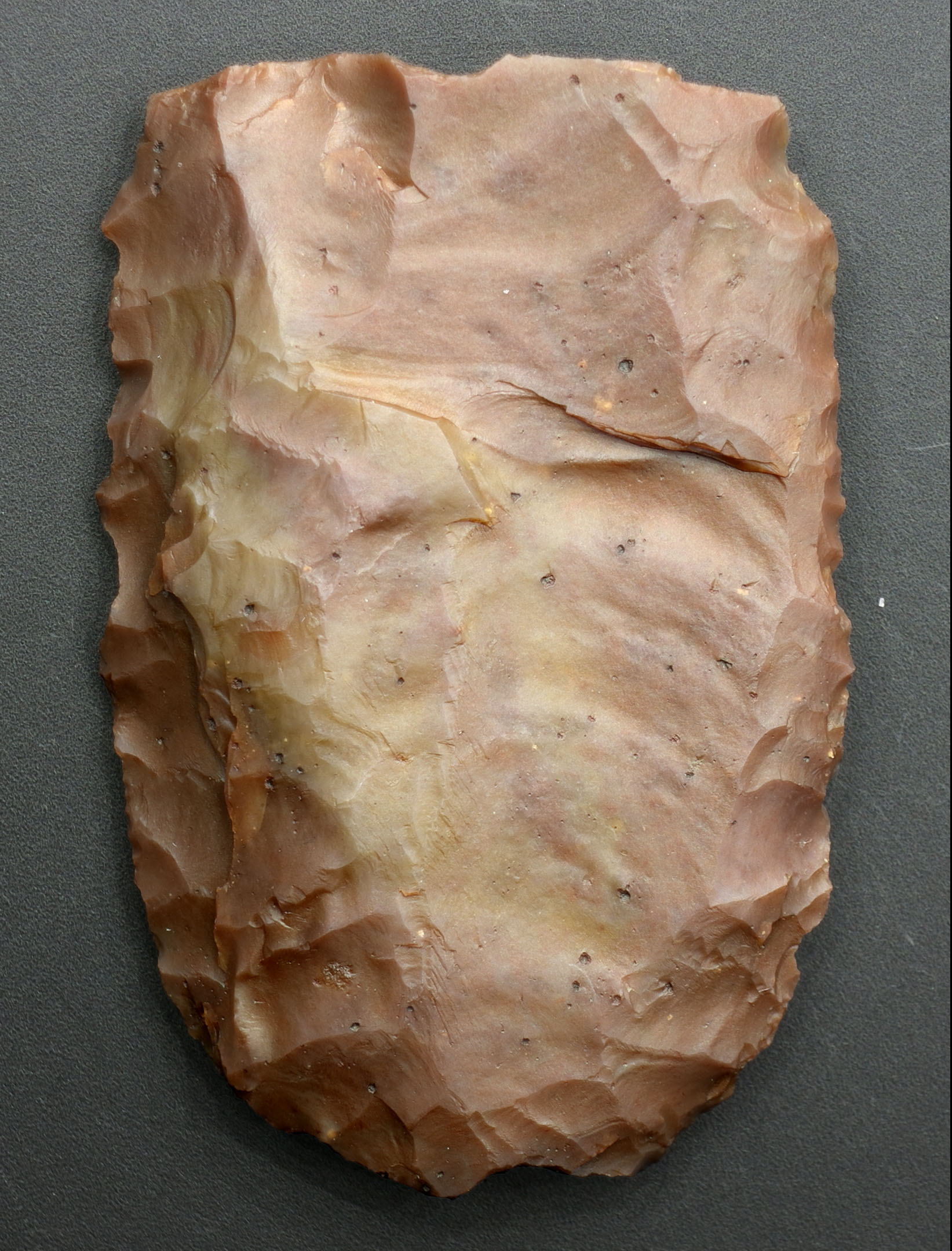 Folsom | American Southwest Virtual Museum